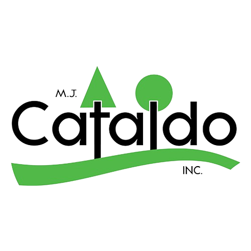 Needham Town Common - Ideal Block